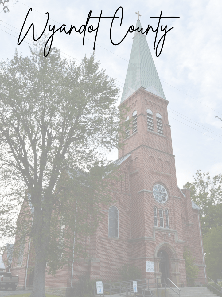 Wyandot County – Found in Ohio